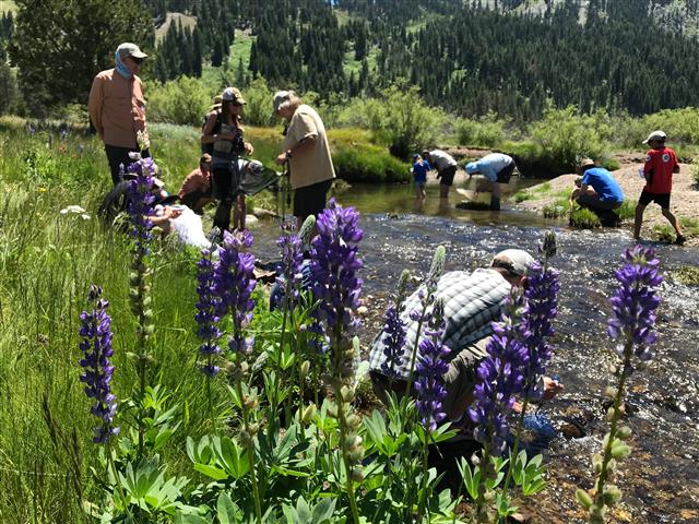 Conservation Outreach – GB FlyCasters